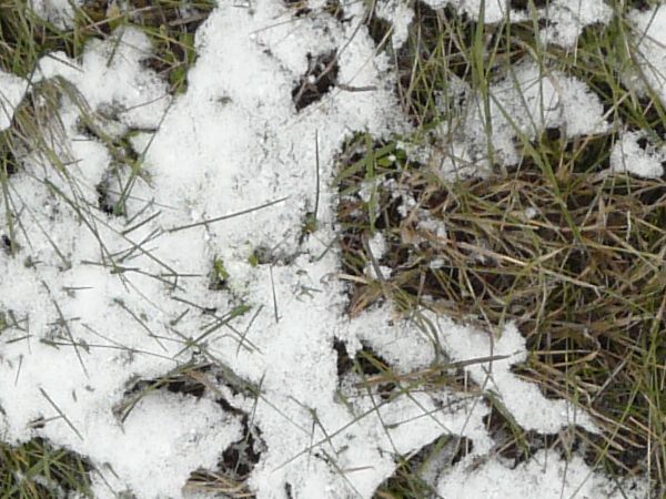 frozen ground texture 0023 - Texturelib